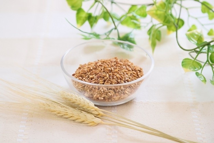 High fibre super barley rolls out in the EU - BARLEYMAX®