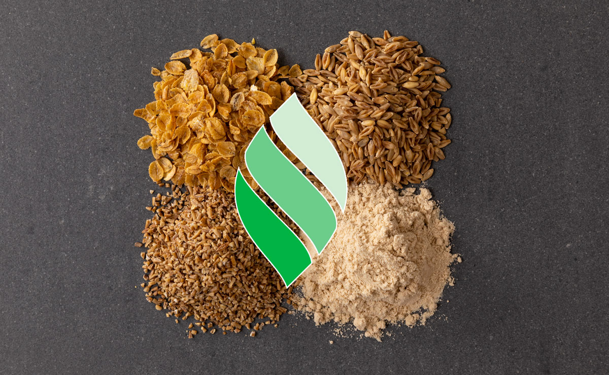 The latest research - BARLEYMAX®
